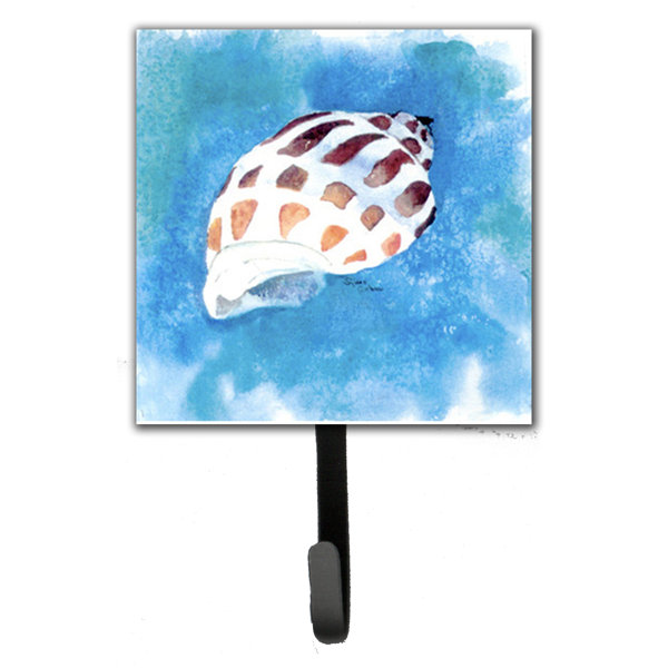 Seashell-wall-hooks | Wayfair