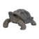 Hi-Line Gift Ltd. Tortoise Statue & Reviews | Wayfair