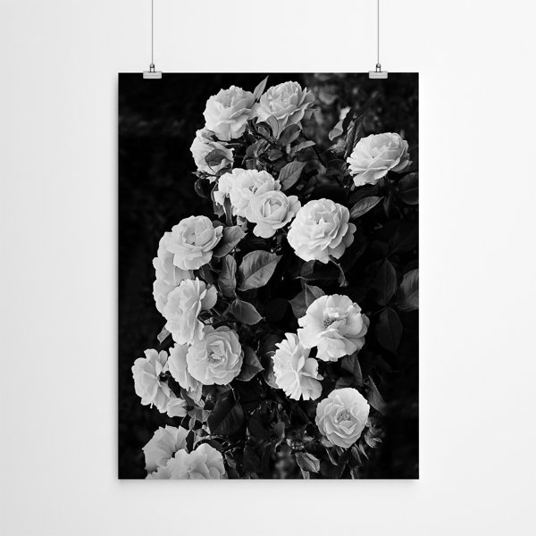 ClassicLiving Roses by Sisi and Seb - Poster Art Print | Wayfair.co.uk