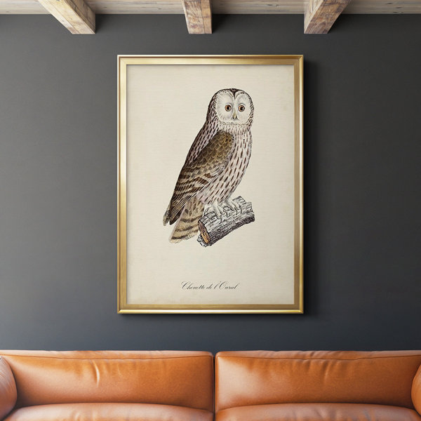 Loon Peak® French Owls V Framed On Paper Print | Wayfair