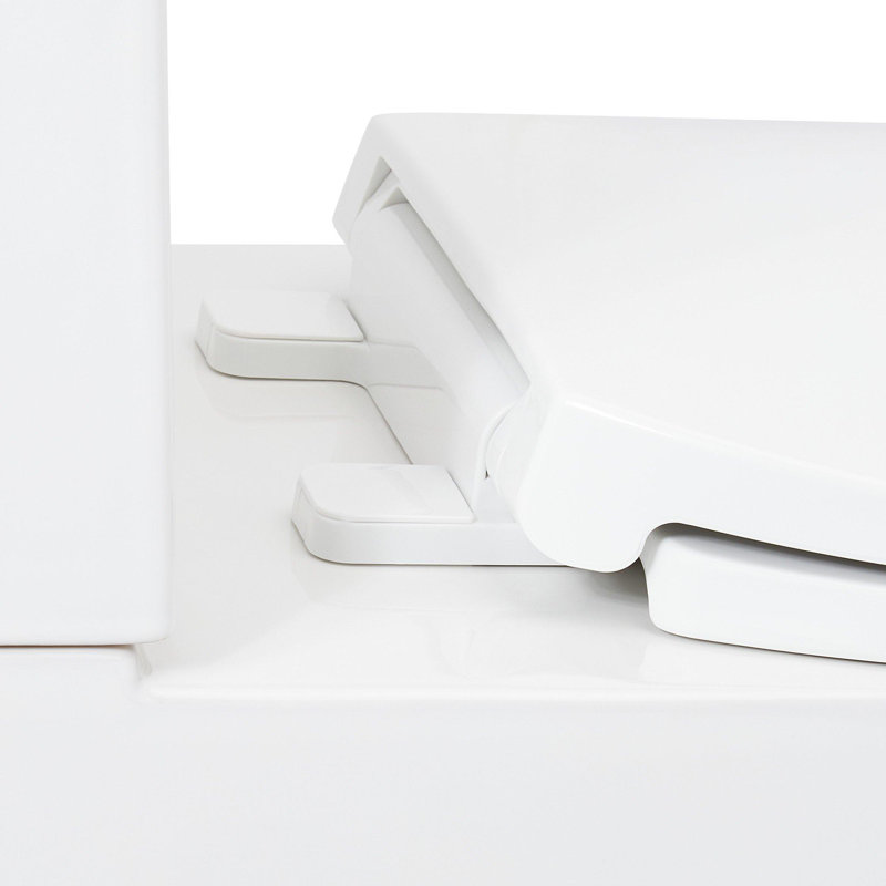 Signature Hardware Sitka 1.28 Gallons Per Minute GPF Elongated Chair ...