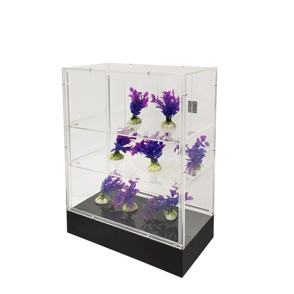FixtureDisplays Clear Cabinet Acrylic Display Removable Shelf Case ...