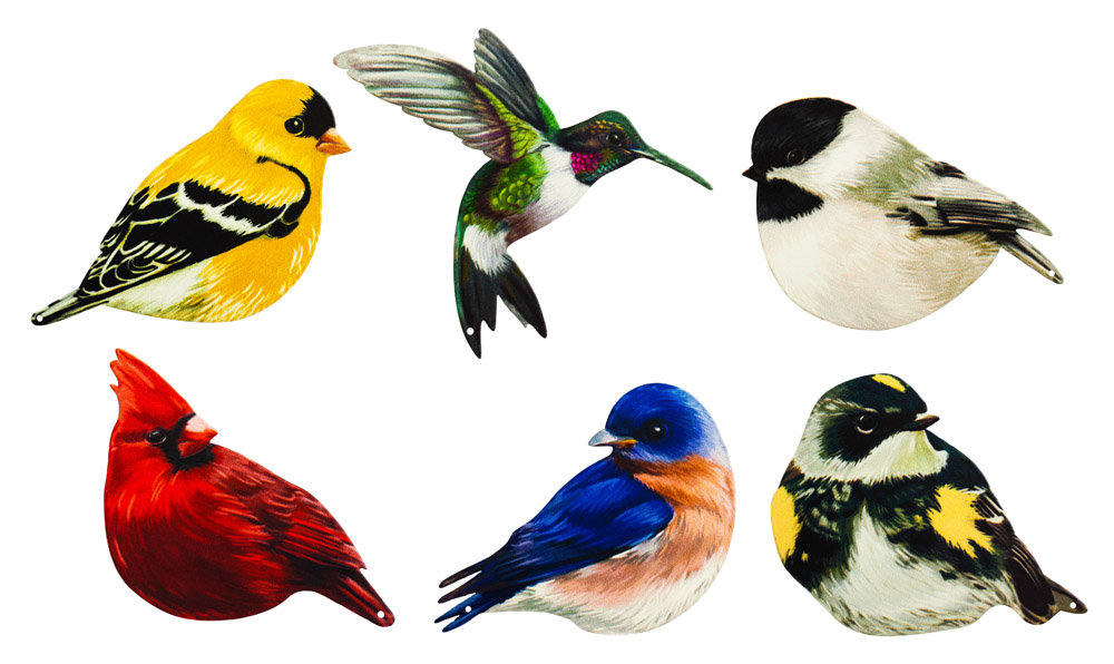 Evergreen Enterprises, Inc Realistic Bird Screen 72 Piece Wall Décor ...