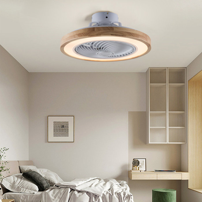 Orren Ellis Riemy 20'' Ceiling Fan with LED Lights & Reviews | Wayfair