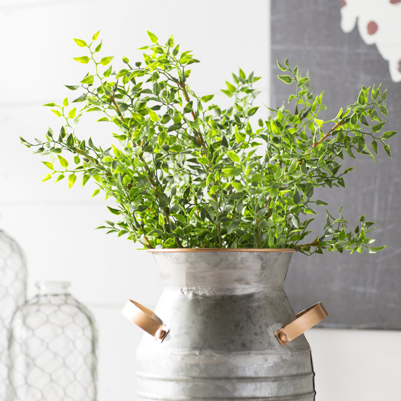 Primrue Artificial Mini Smilax Stem & Reviews | Wayfair