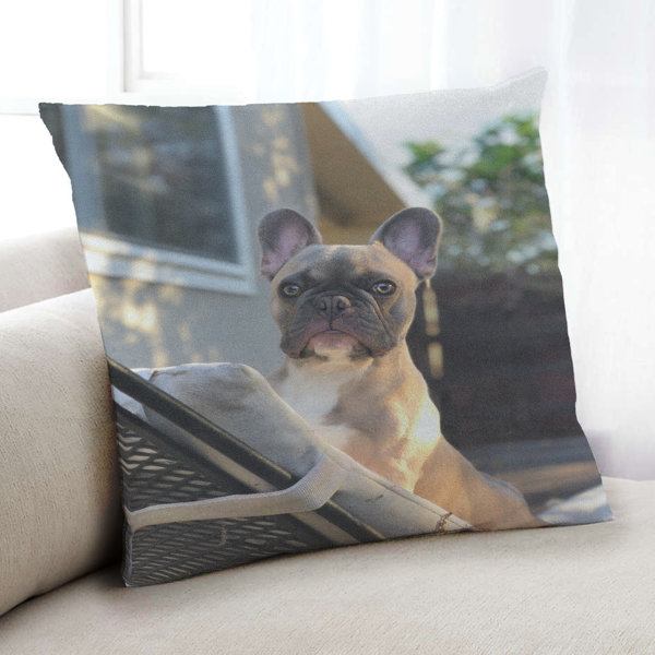 Bulldog-pillow | Wayfair
