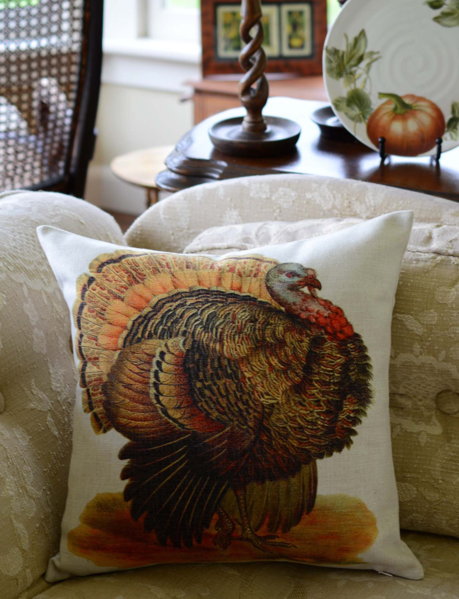 Golden Hill Studio Turkey Pillow Cover | Wayfair