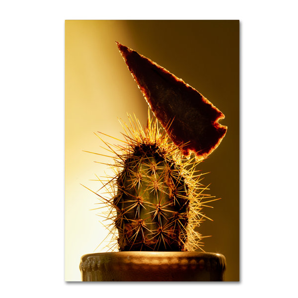 Rustic-arrow-cactus | Wayfair