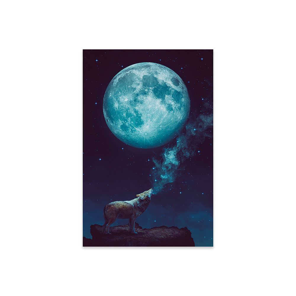 Latitude Run® Lone Wolf Howl - Night On Plastic/Acrylic Graphic Art ...