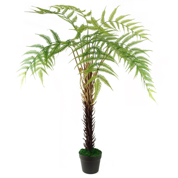 Leaf Ferns 120Cm Artificial Fern Tree in Pot | Wayfair.co.uk
