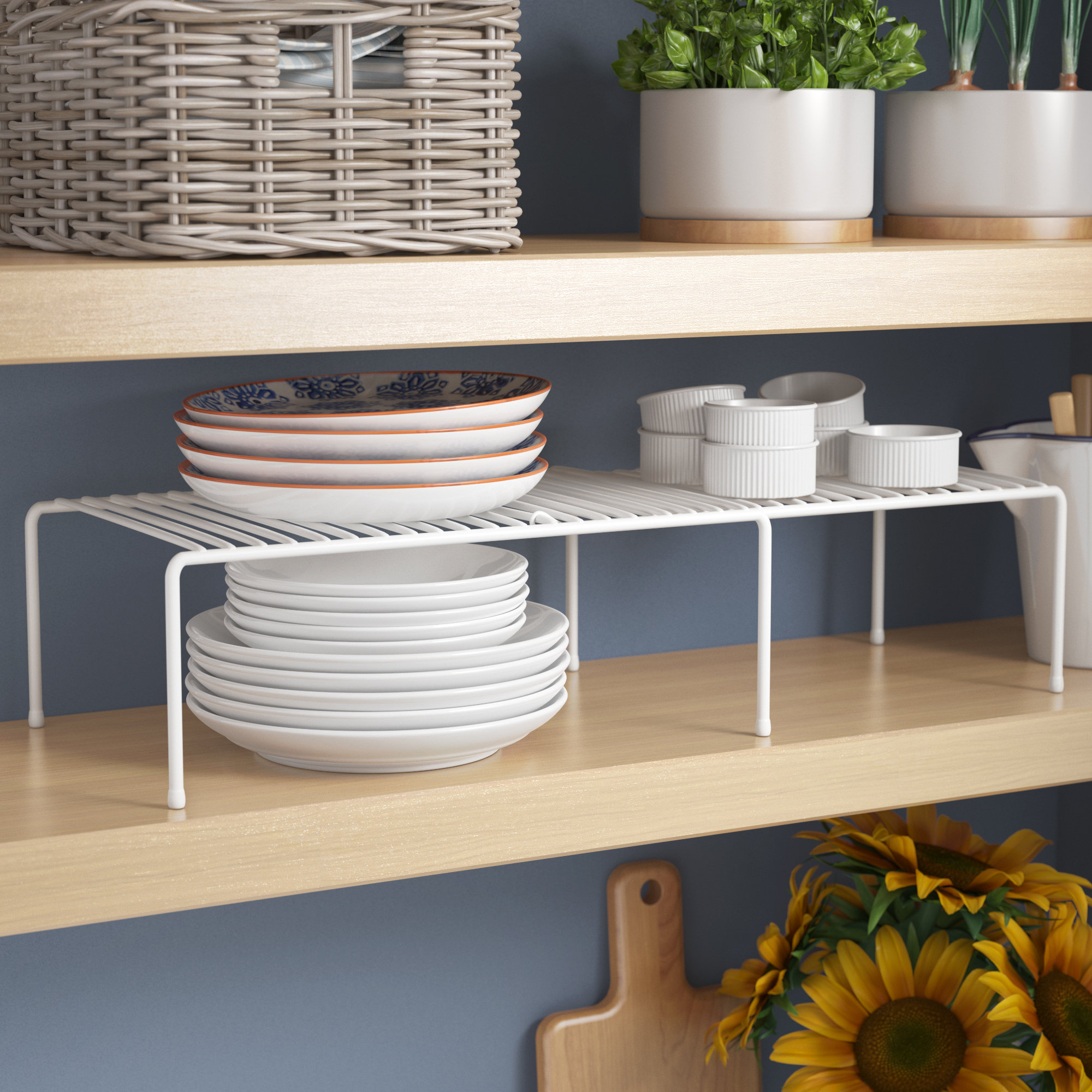 Rebrilliant Castleman Expandable Shelving Rack & Reviews | Wayfair