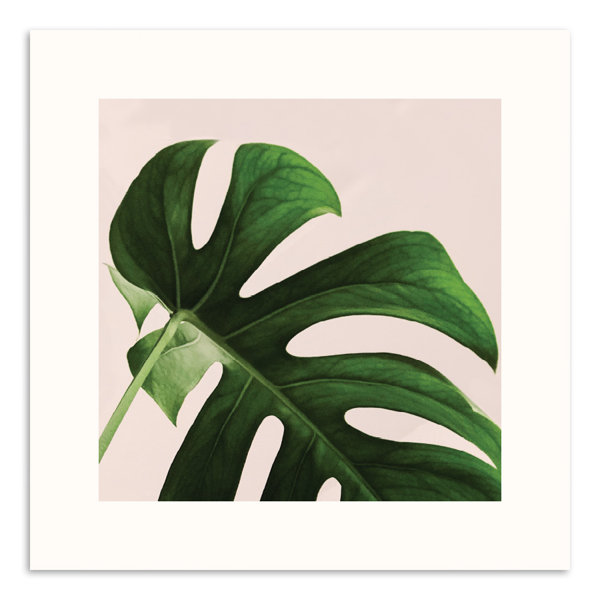PHLA Large Single Leaf 1 - Print | Wayfair