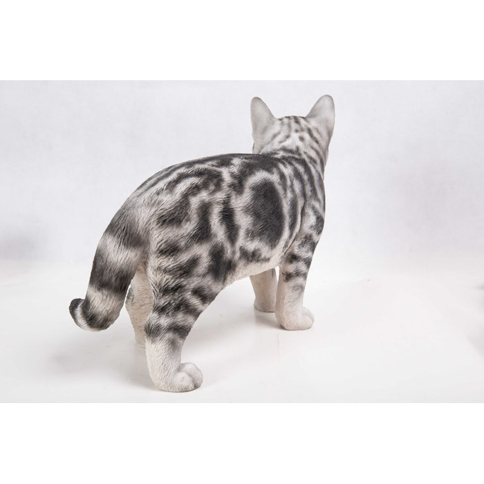 Hi-Line Gift Ltd. Standing American Shorthair Cat Statue & Reviews ...