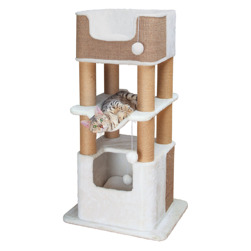 Archie & Oscar™ 43" Robyn Cat Tree & Reviews | Wayfair
