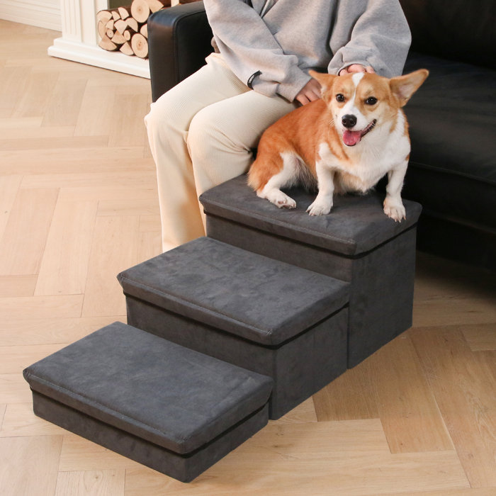 Tucker Murphy Pet™ Pet Stairs Step Ramp Folding Storage Stepper Pet ...