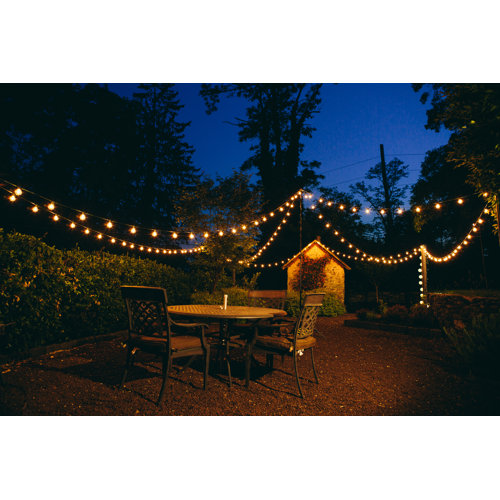 Arlmont & Co. Renfro Outdoor 25 - Bulb 25'' Plug-in Globe String Light ...