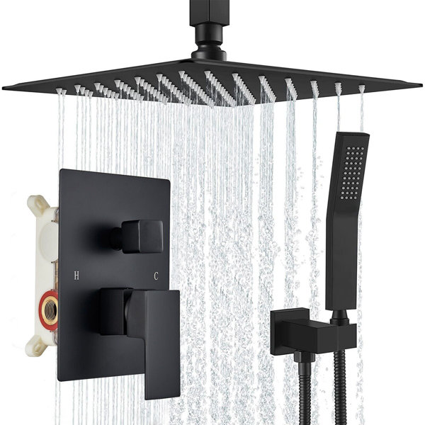 Ceiling-shower-combo | Wayfair