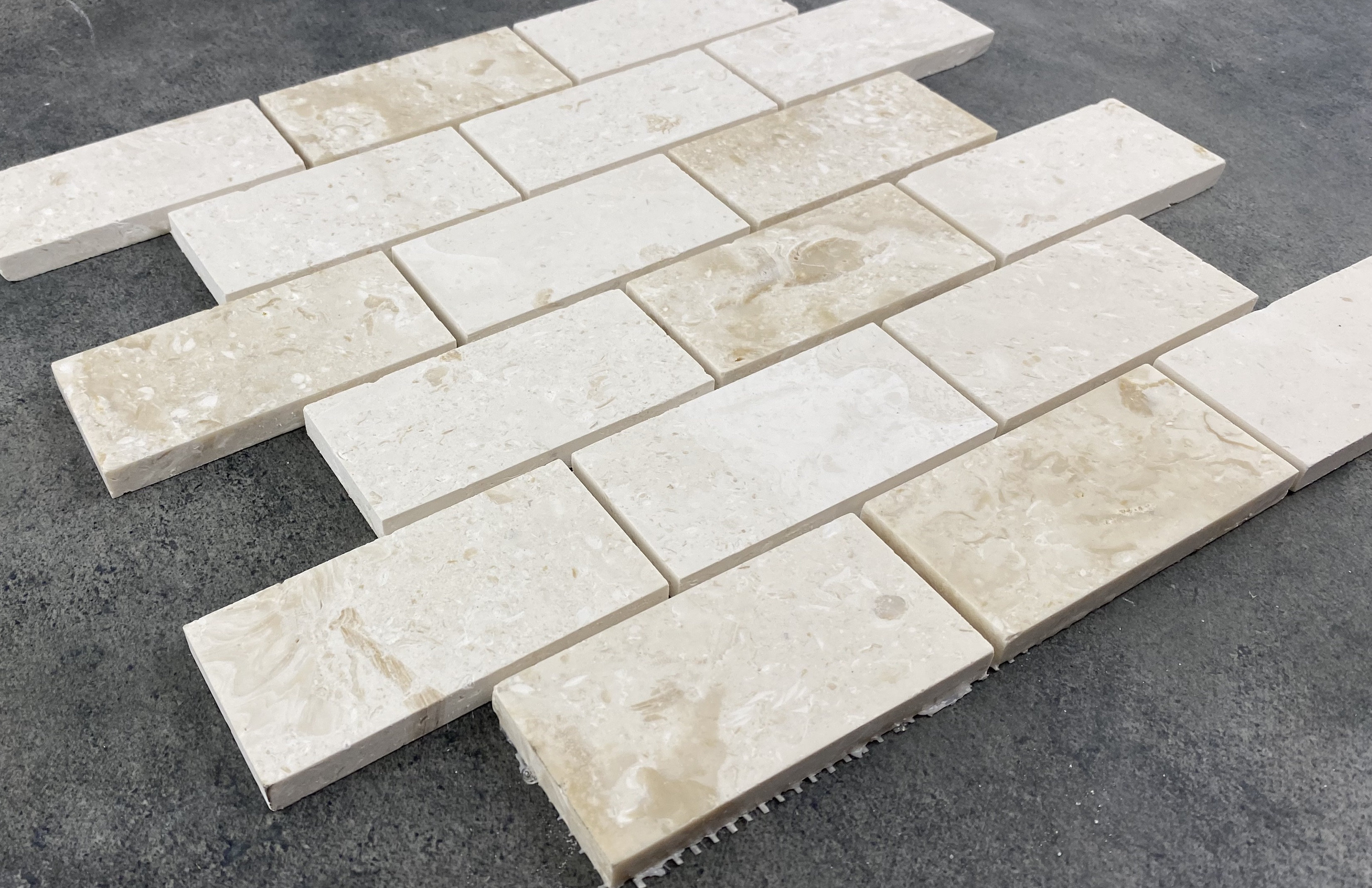 Miletos Stone Collection Shellstone 2" x 4" Travertine Mosaic Tile ...