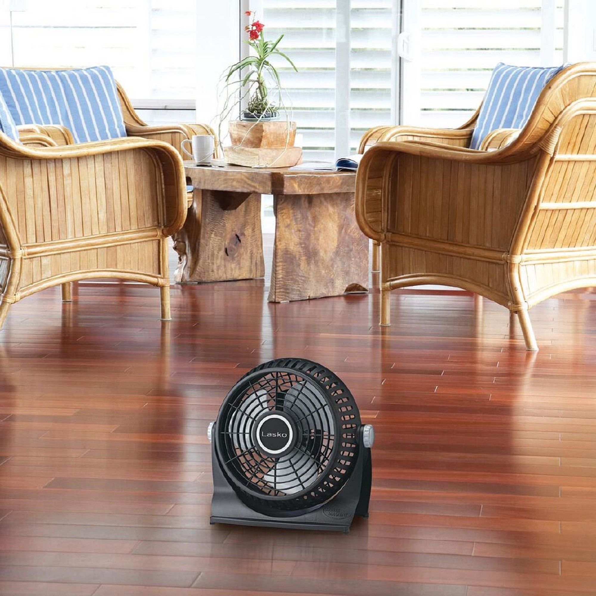 Lasko Personal Fan & Reviews | Wayfair
