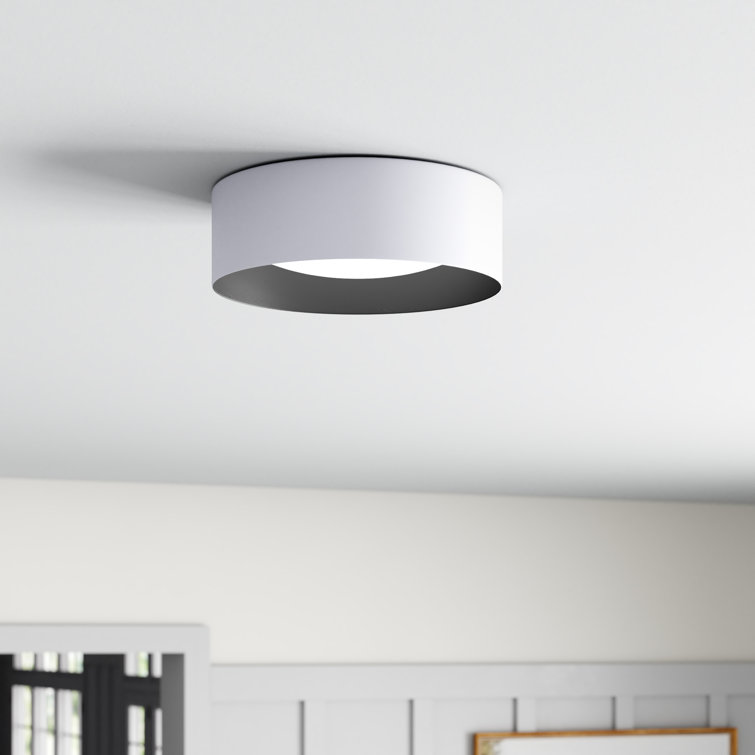 Wade Logan® Broome Glass Flush Mount & Reviews - Wayfair Canada