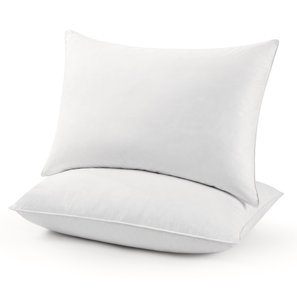 Alwyn Home Forbestown Medium Pillow | Wayfair