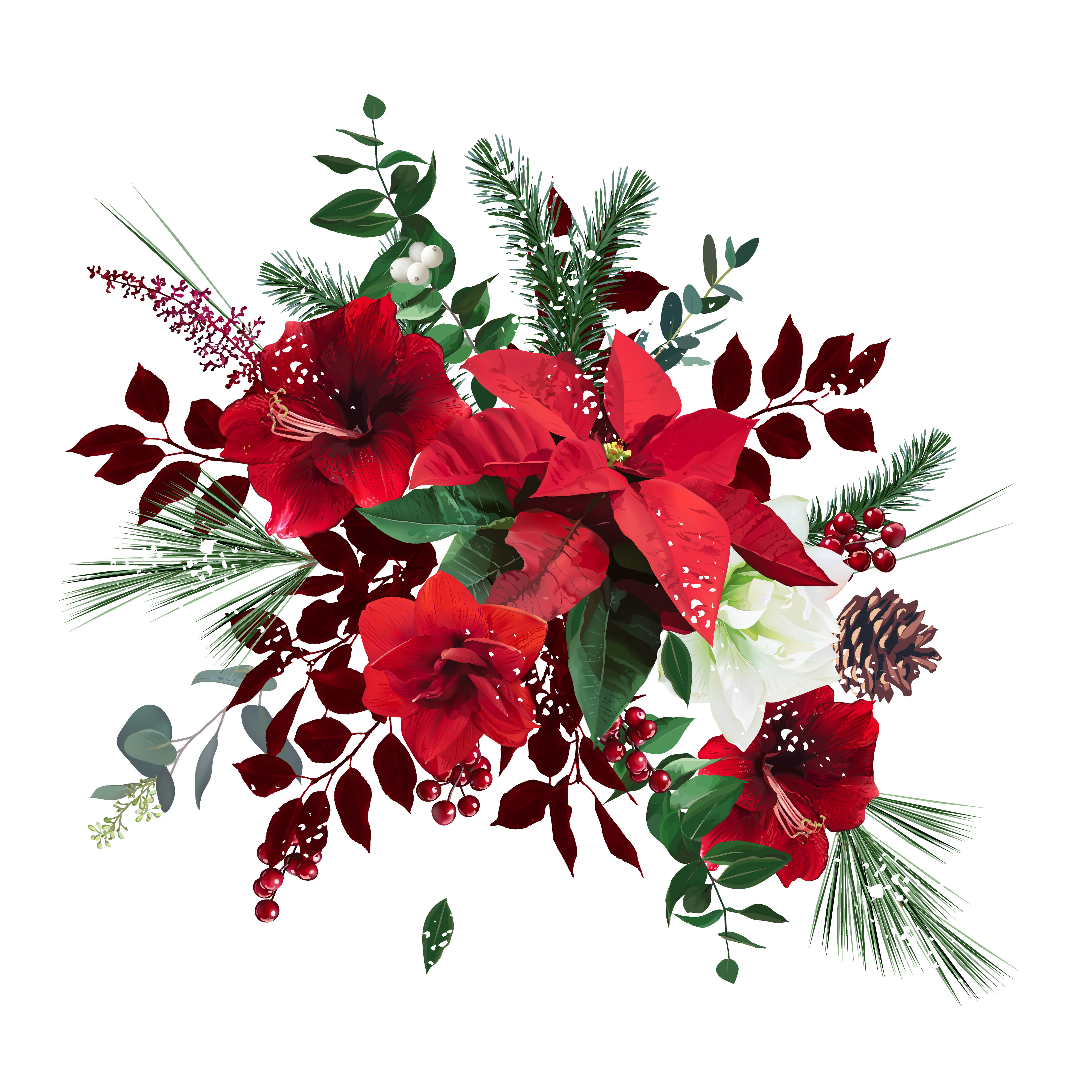 Ebern Designs Merry Christmas Floral Vector Bouquet. Red And White ...