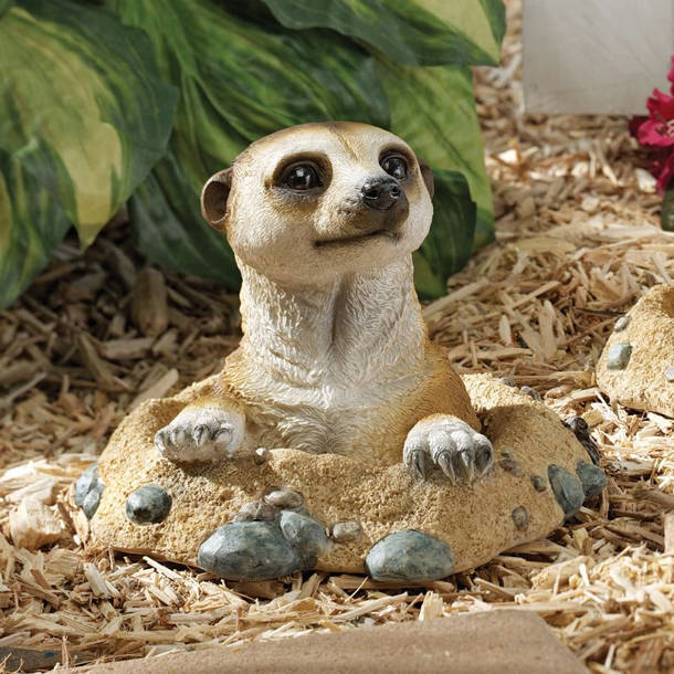Design Toscano Kalahari Meerkat Statue & Reviews | Wayfair