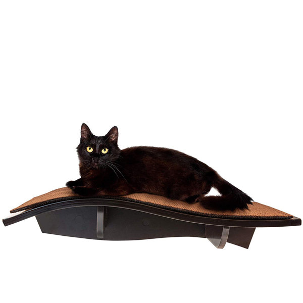 Tucker Murphy Pet™ Anja Cat Perch & Reviews | Wayfair