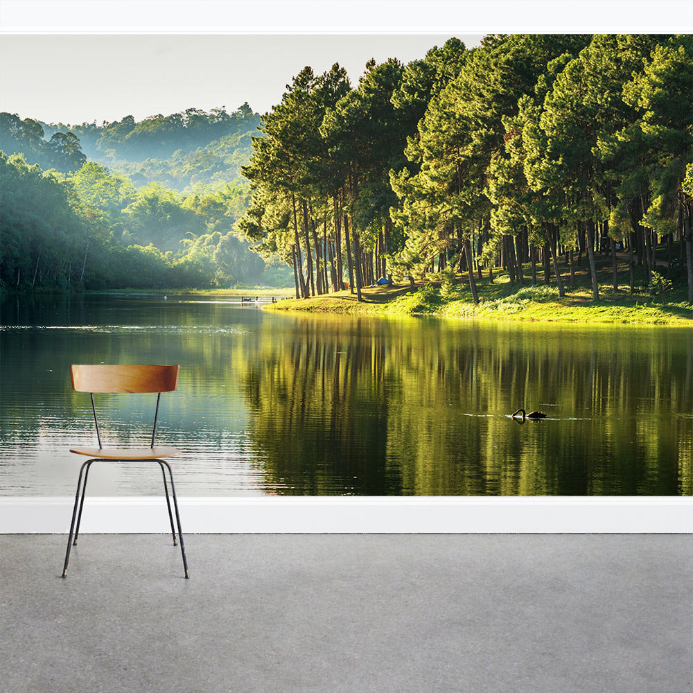 Wallums Wall Decor Peel & Stick Floral Wallpaper | Wayfair