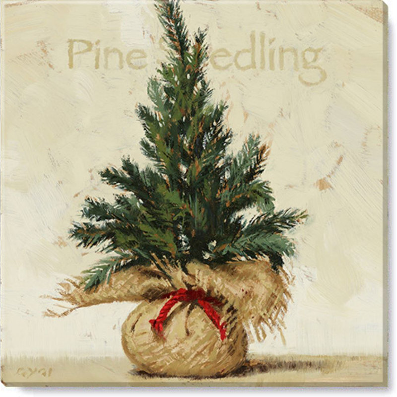 Darren Gygi Home Collection Pine Seedling Giclee Wall Art by Darren ...
