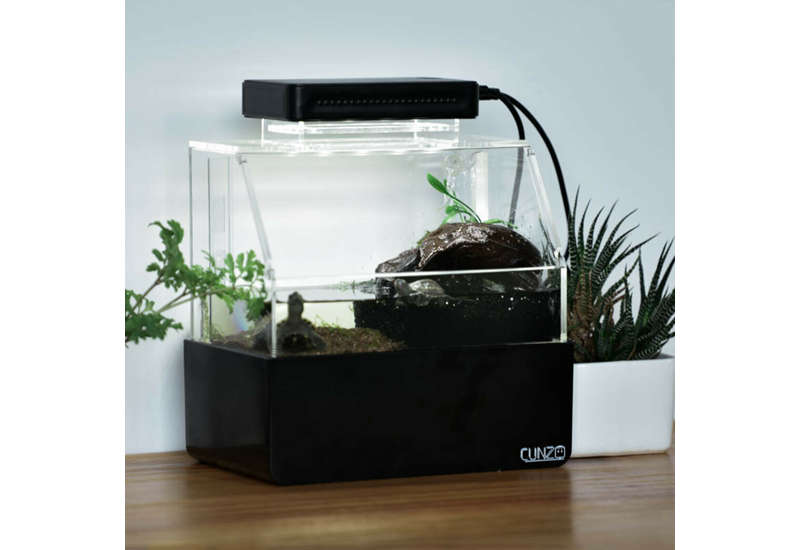 Fish Tank Sizes & Types: How to Choose the Right Aquarium | Wayfair