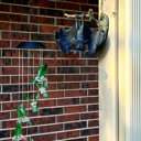 Design Toscano Demon of the Night Vampire Bat Statue & Reviews | Wayfair