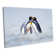 House of Hampton King Penguin Birds Wildlife Antarctica Canvas Wall Art ...