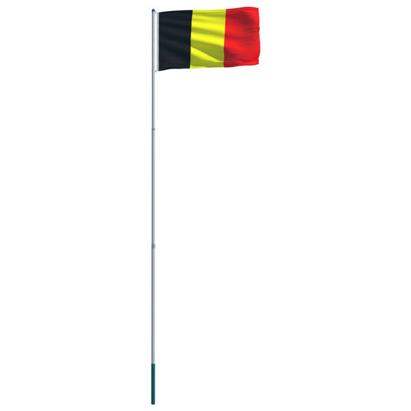 Dakota Fields McKew 2-Sided Flag and Flagpole Set | Wayfair.co.uk