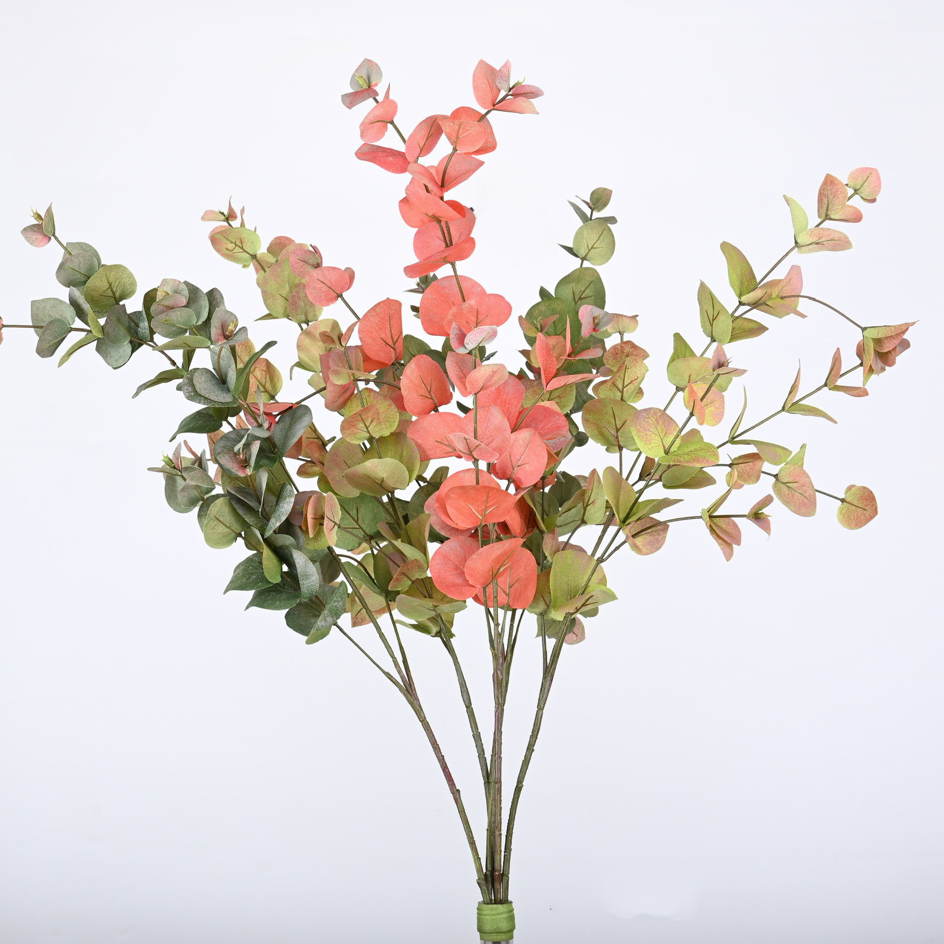 Primrue Hamlin Eucalyptus Bushes | Wayfair