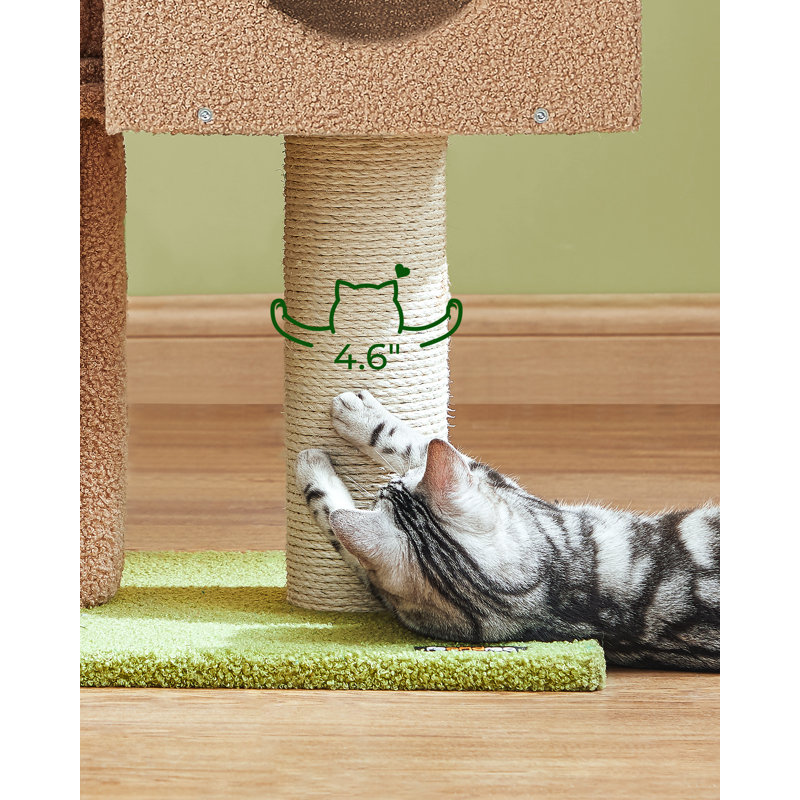 Archie & Oscar™ 43" Timms Cat Tree & Reviews | Wayfair
