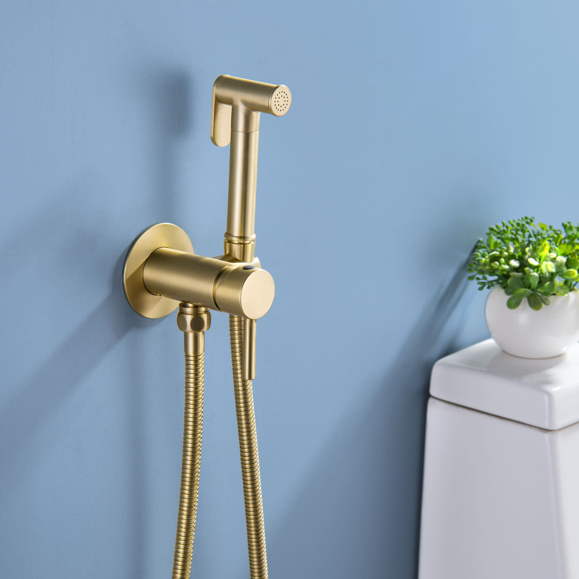 AWZTOO Single Hole Horizontal Bidet Faucet | Wayfair