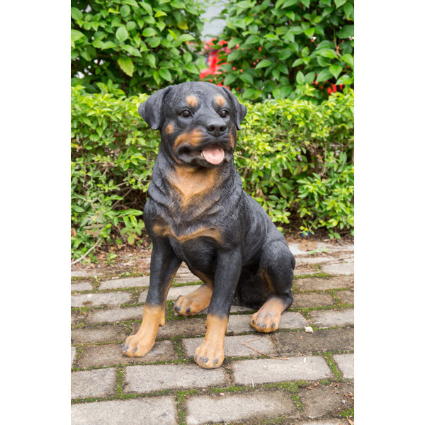 Hi-Line Gift Ltd. Rottweiler Sitting Statue & Reviews | Wayfair