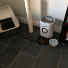 Pawple Pets Pet Automatic Feeder & Reviews | Wayfair