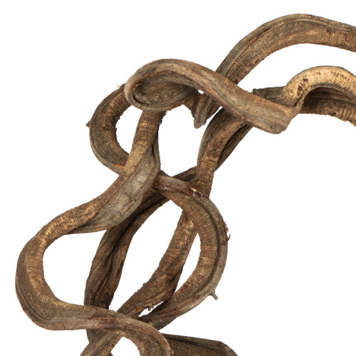 Loon Peak® 13" Coiled Vine, Dried | Wayfair
