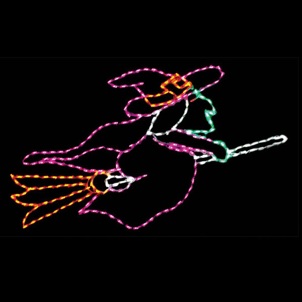 Brite Ideas Witch LED Lighted Display | Wayfair