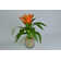 T&C Floral Company Tropical Bromeliad Centerpiece in Glass Jar ...