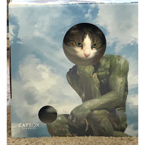 Tucker Murphy Pet™ Crysania 14" Meow Masterpieces Cat Condo | Wayfair