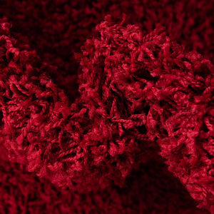 Ebern Designs Angeline Performance Cherry Red Rug & Reviews | Wayfair