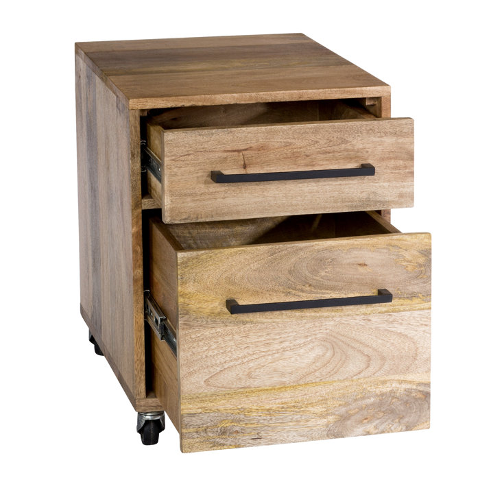AllModern Ascent 20'' Wide 2 -Drawer Mobile Solid Wood Vertical Filing ...