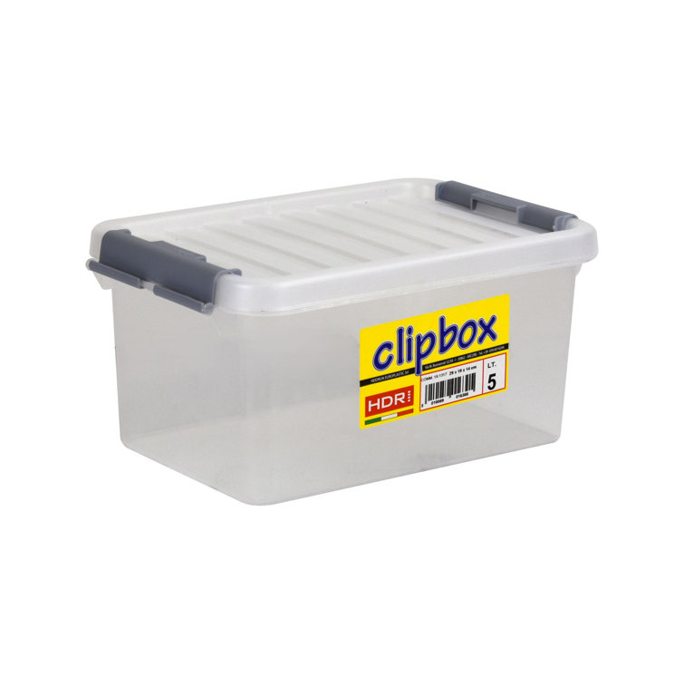 Rebrilliant 5 L Plastic Storage Box | Wayfair.co.uk