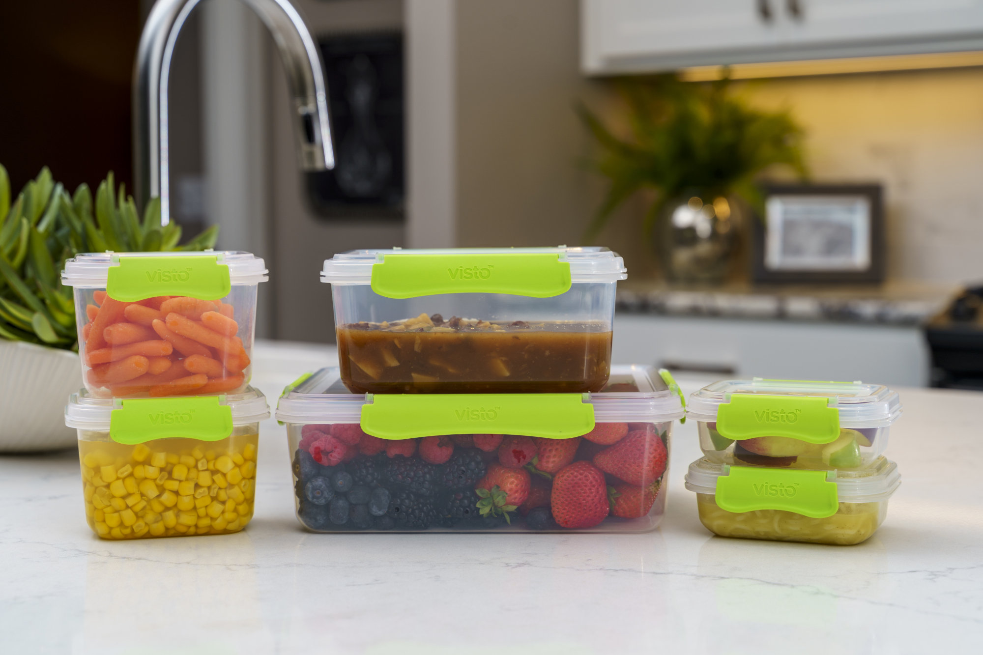 Visto Fresh Variety 6 Container Food Storage Set | Wayfair