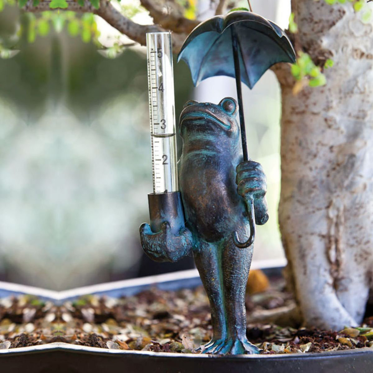 Arlmont & Co. Keimora Rain Gauge | Wayfair