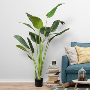 Wayfair | 5 ft to 6 ft Faux Plants You'll Love in 2023