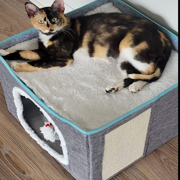 Tucker Murphy Pet™ Chabak Square Cat Bed | Wayfair